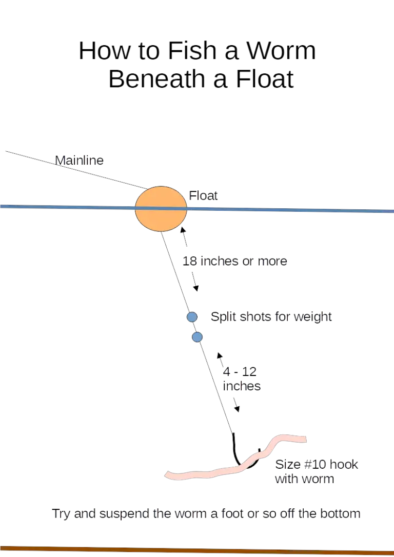 The most effective methods to catch trout on worms - Trout Resource