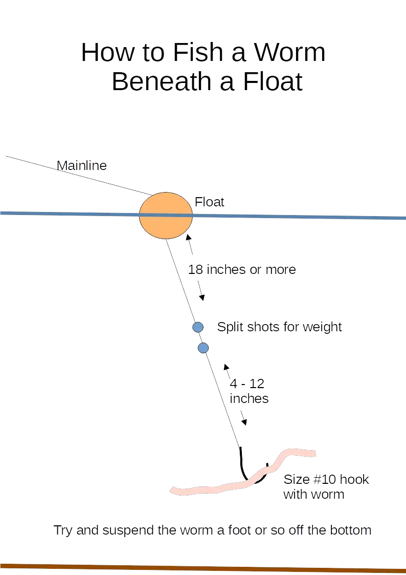 The most effective methods to catch trout on worms - Trout Resource