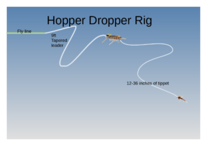 Learn Why The Hopper Dropper Catches So Many Trout - Trout Resource