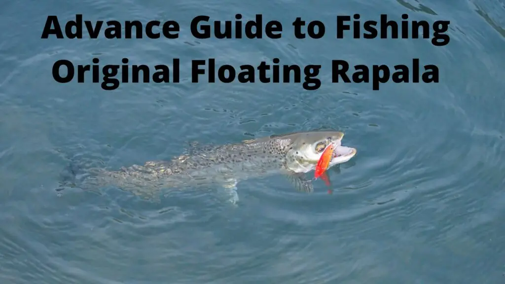 How to Fish a Floating Rapala (Detailed Guide) - Trout Resource