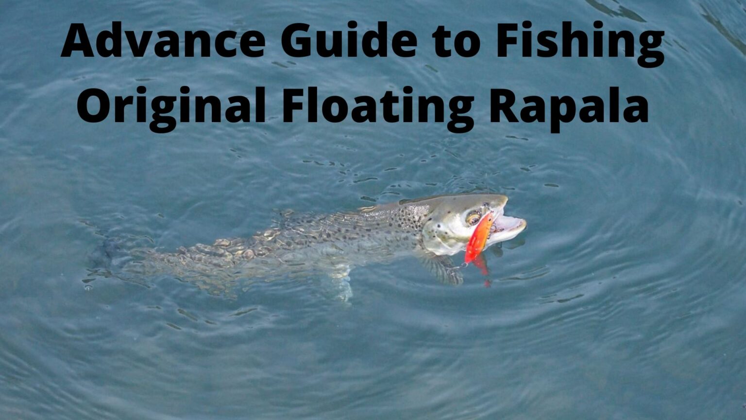 How to Fish a Floating Rapala (Detailed Guide) - Trout Resource