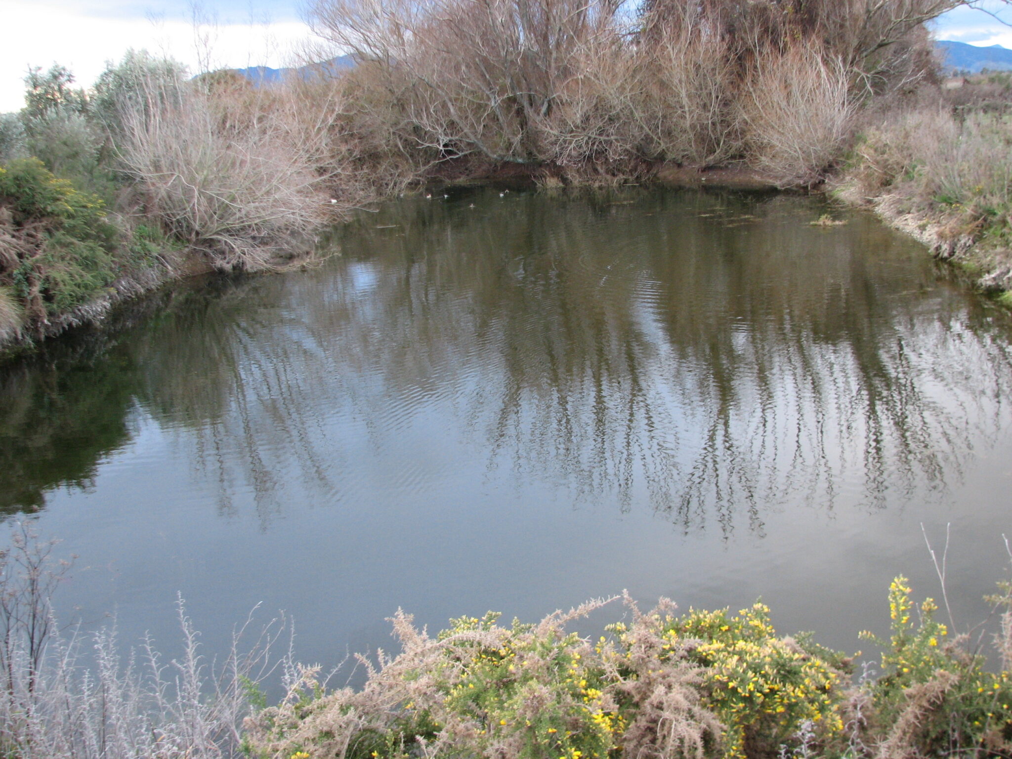 Can Trout Survive in Private Ponds? - Trout Resource