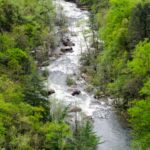 Where and how to catch trout in Georgia (Includes 17 excellent fishing ...