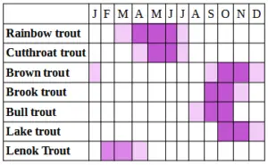 When do trout spawn? (and the factors that determine it) - Trout Resource