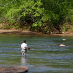 Where and how to catch trout in Georgia (Includes 17 excellent fishing ...