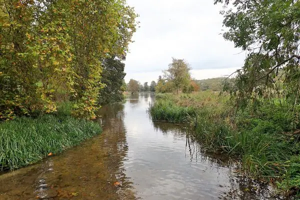 Trout fishing differences between freestone, braided and spring-fed ...