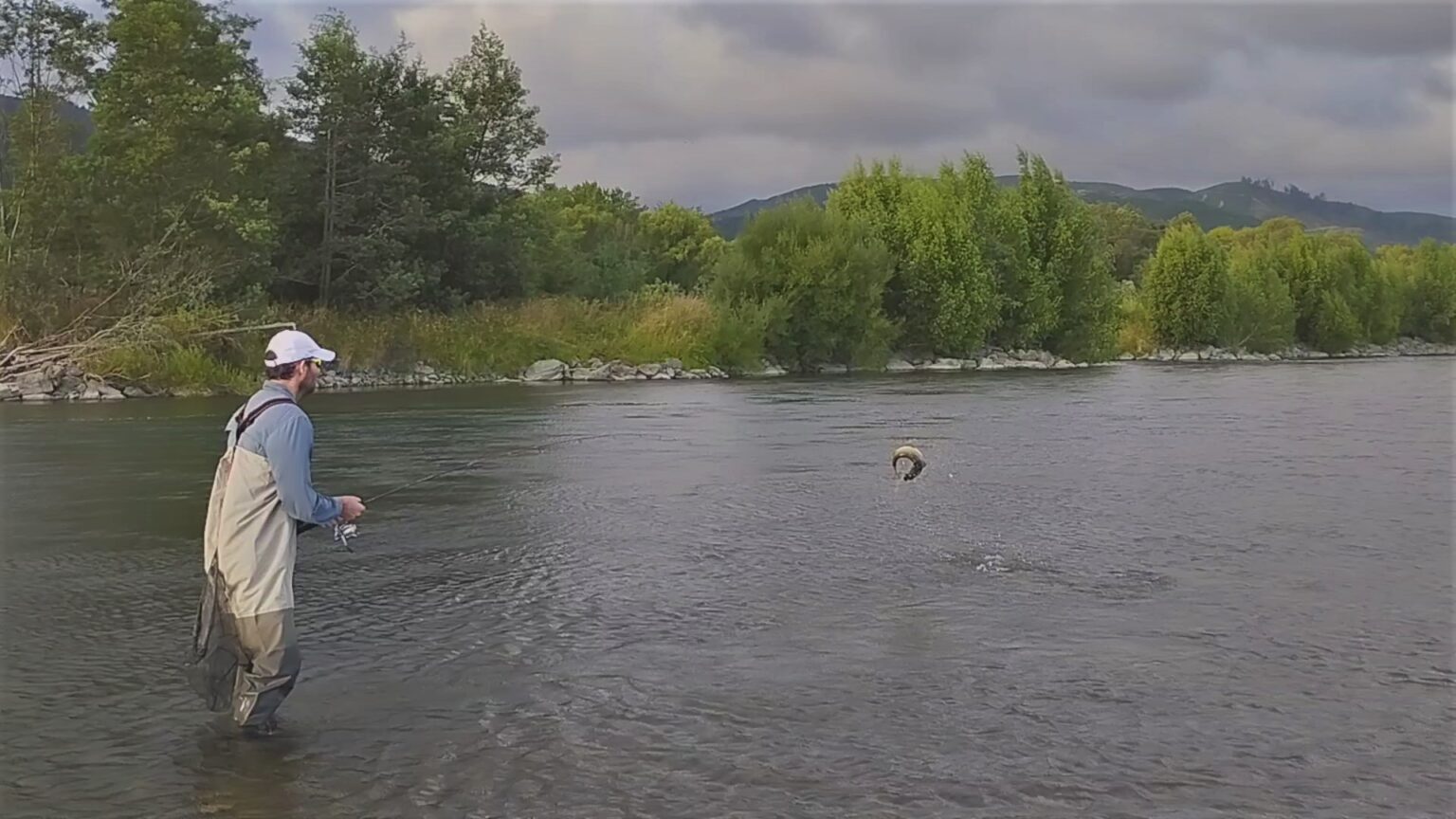 Even more reasons why trout can be difficult to catch - Trout Resource