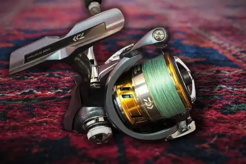 "Top 12 Trout Spinning Reels: Tried and Tested Recommendations" - Trout ...