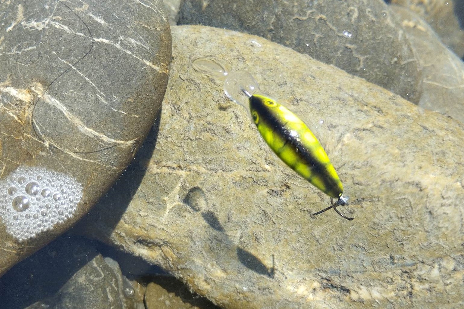 Salmo Hornet on the water test - Trout Resource