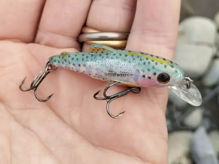 My favorite trout spinners for fishing in the fall - Trout Resource